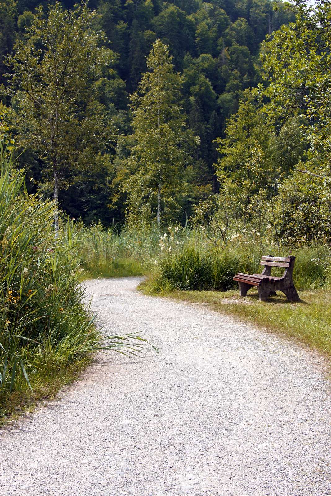 Der richtige Weg | Stock Bild | Colourbox