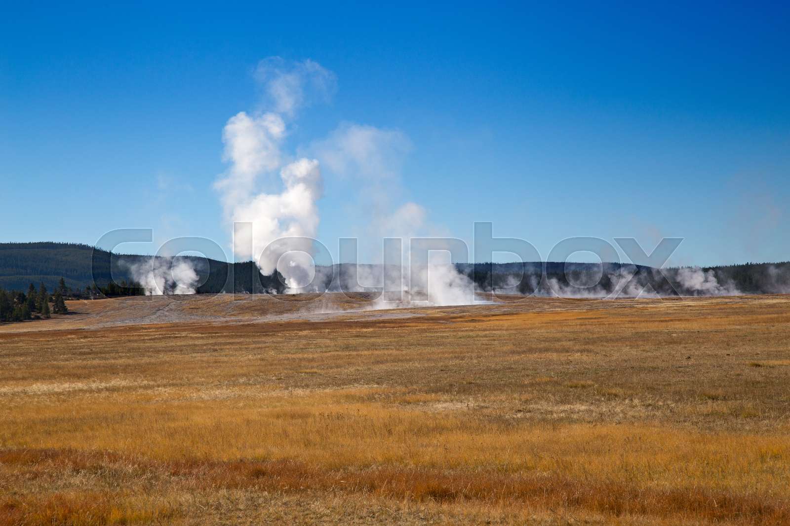 Lower geyser basin | Stock image | Colourbox