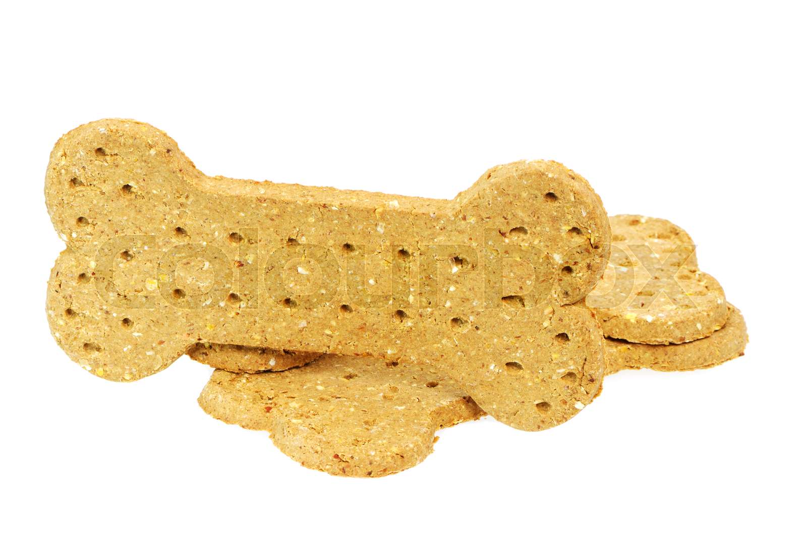 Dog Bone | Stock image | Colourbox