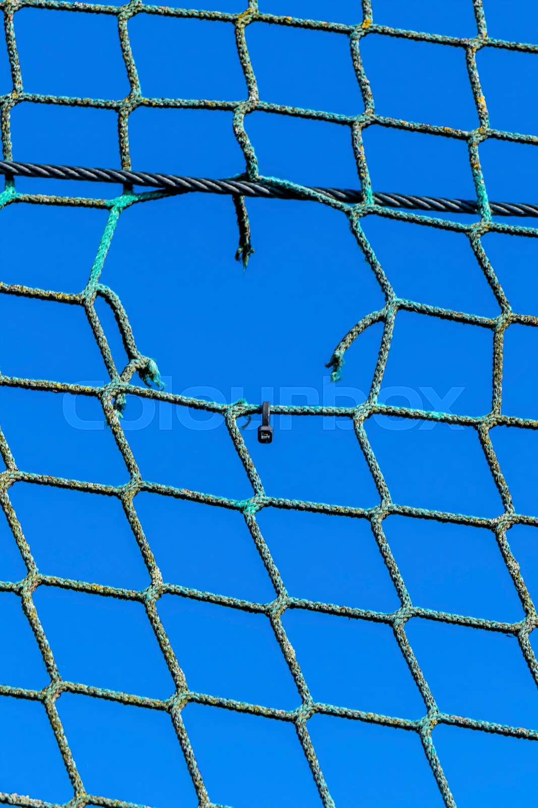 hole in a net | Stock image | Colourbox