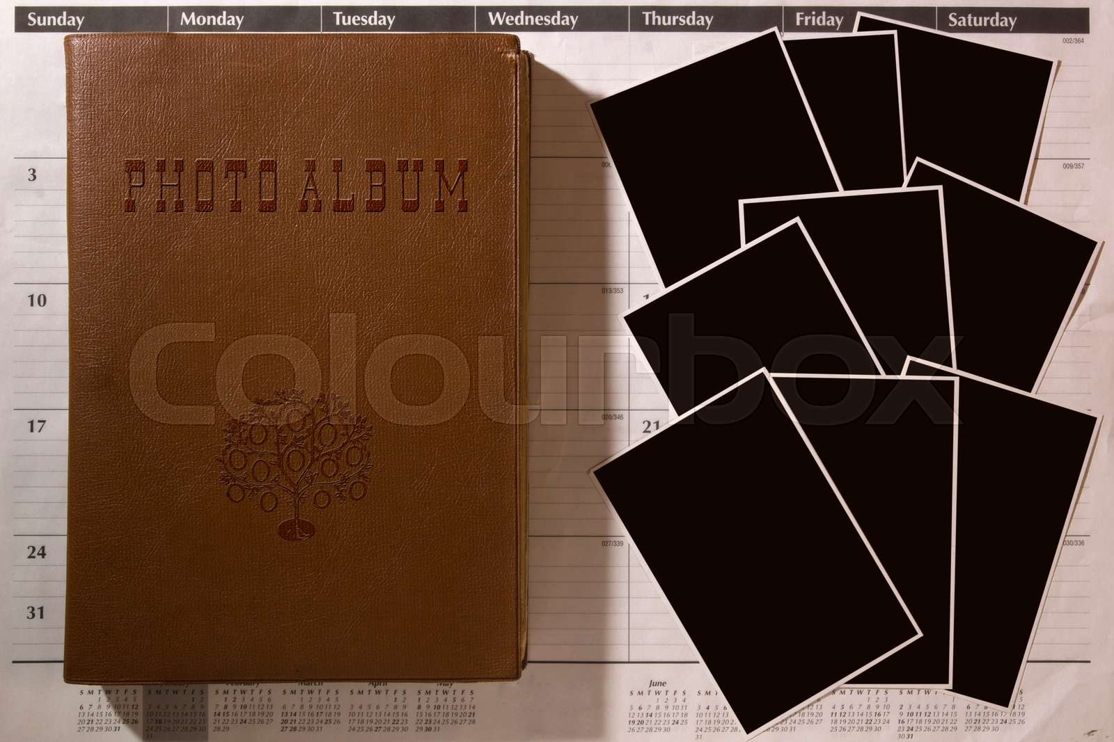 Photos from an old photo album | Stock image | Colourbox