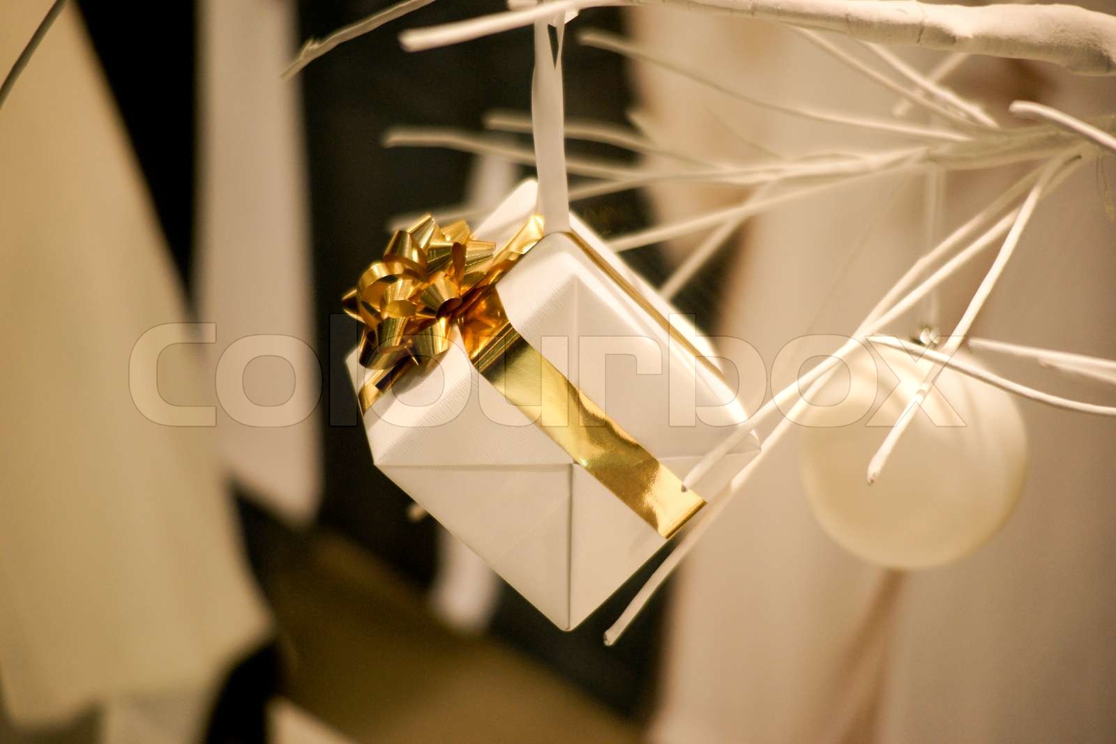 Gift hanging on a tree | Stock image | Colourbox