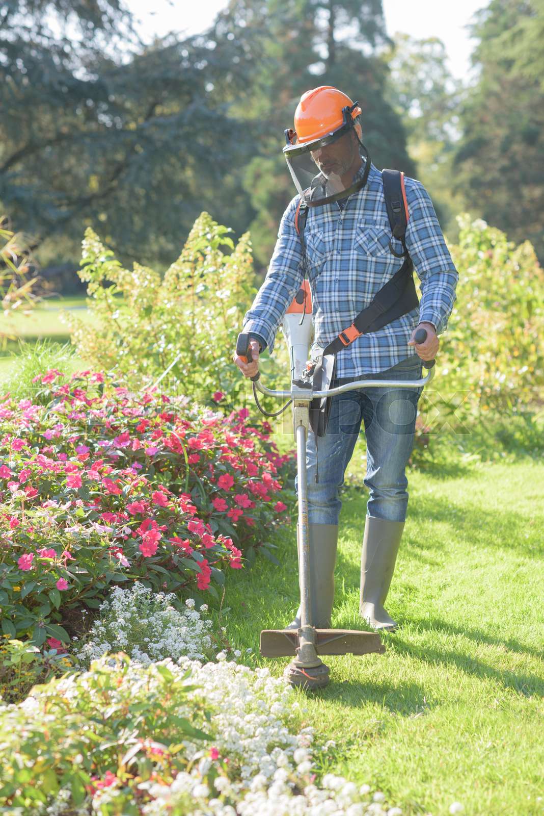 public landscaping worker | Stock image | Colourbox