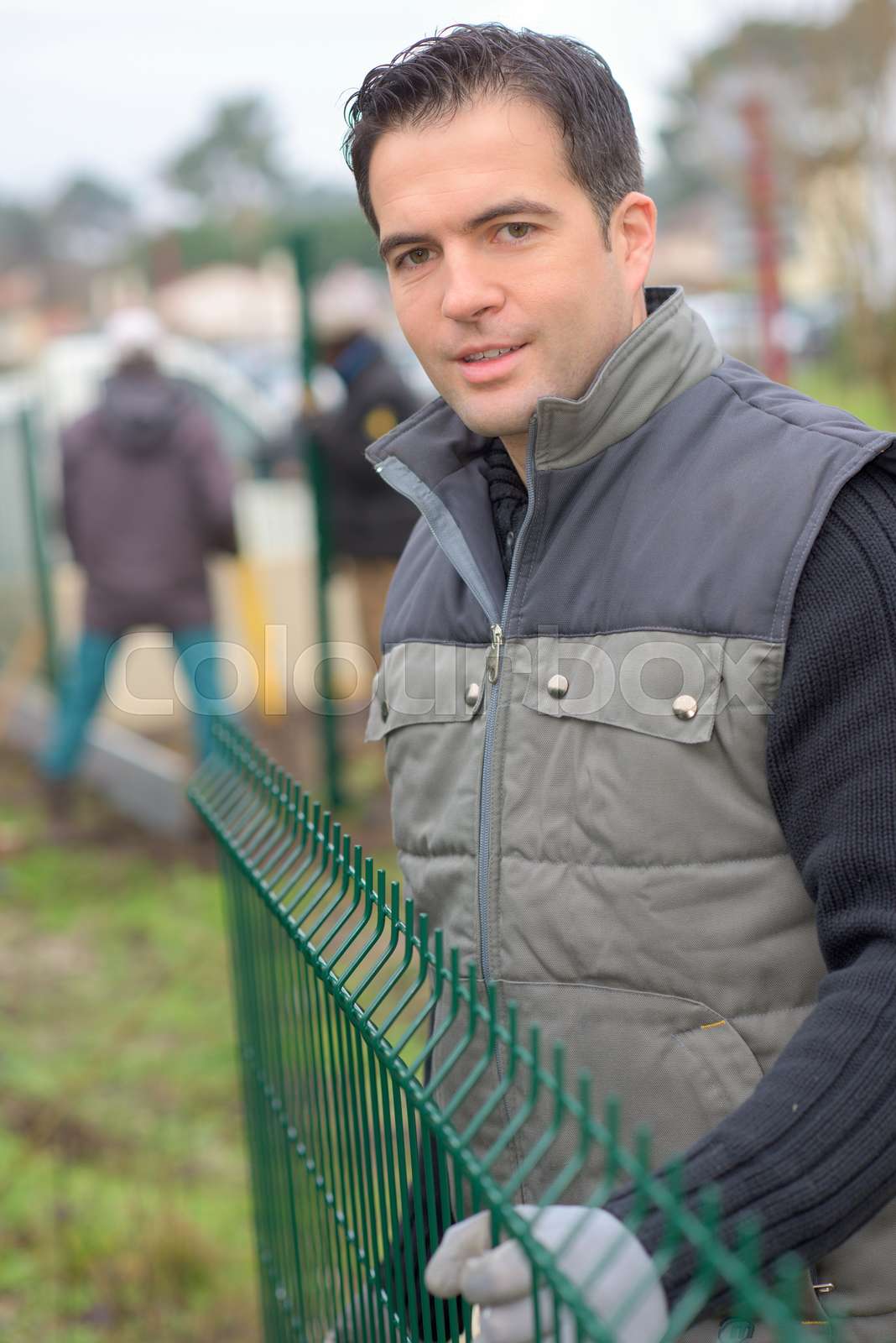 male worker placing a metal fence | Stock image | Colourbox