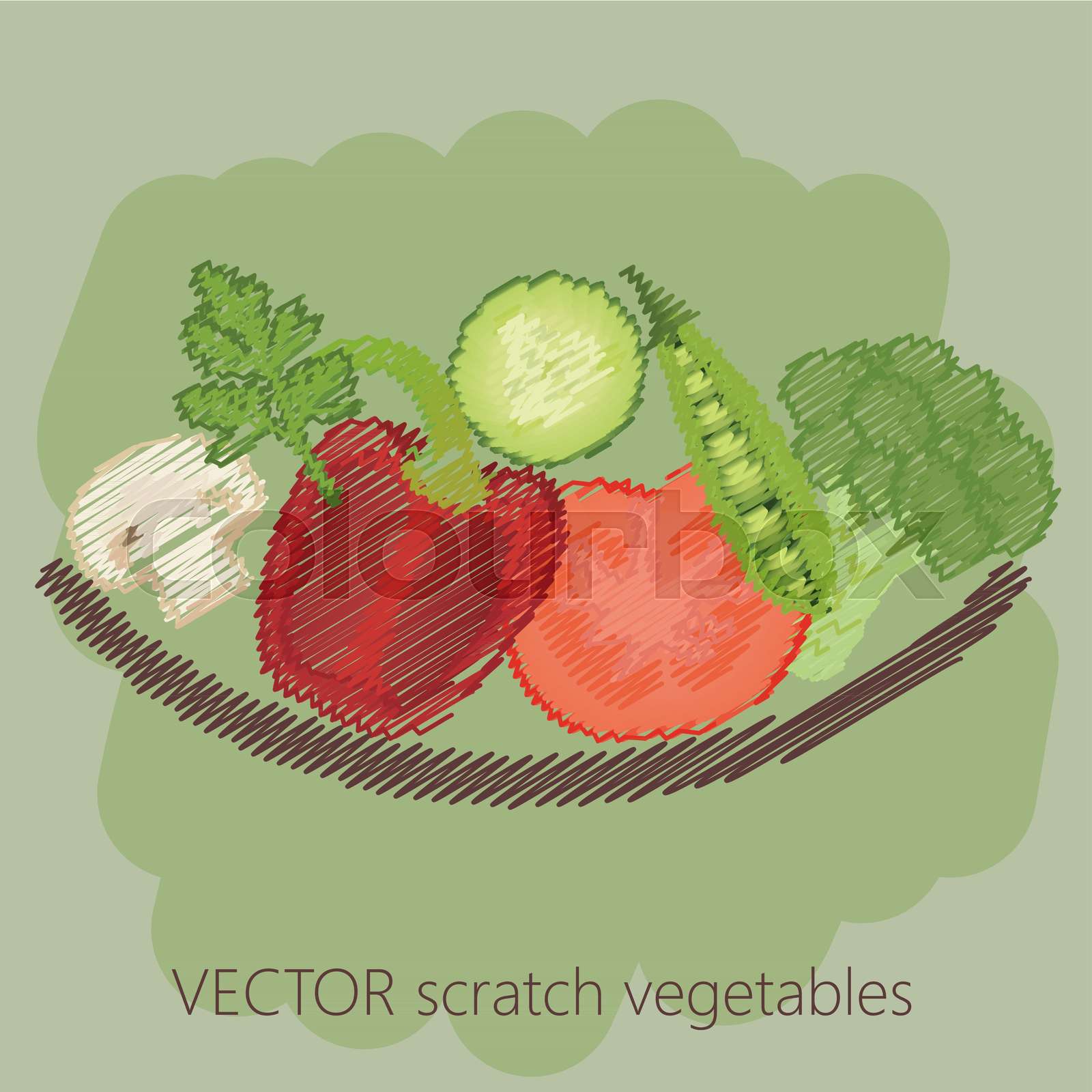 vegetables scratch in plate front | Stock vector | Colourbox