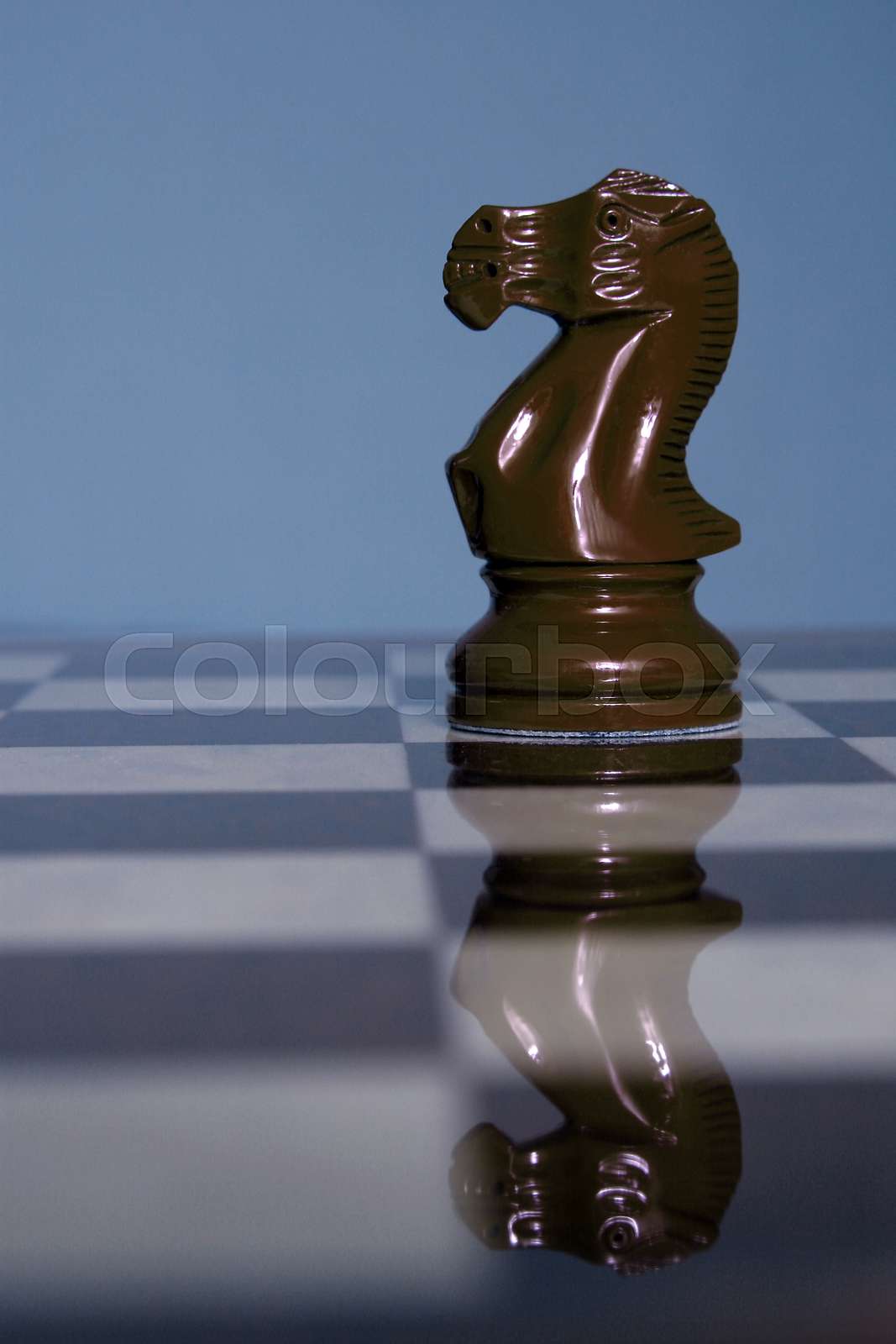 schach, schachfigur, reflect | Stock image | Colourbox