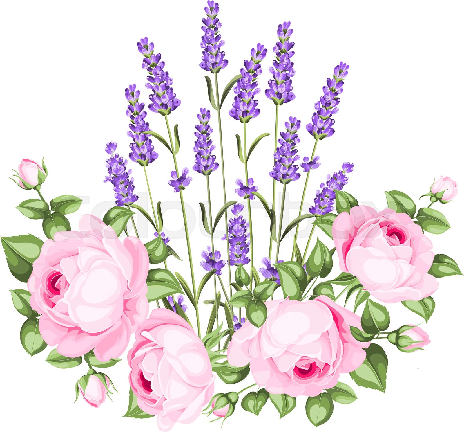 Illustration of rose garland. | Stock vector | Colourbox