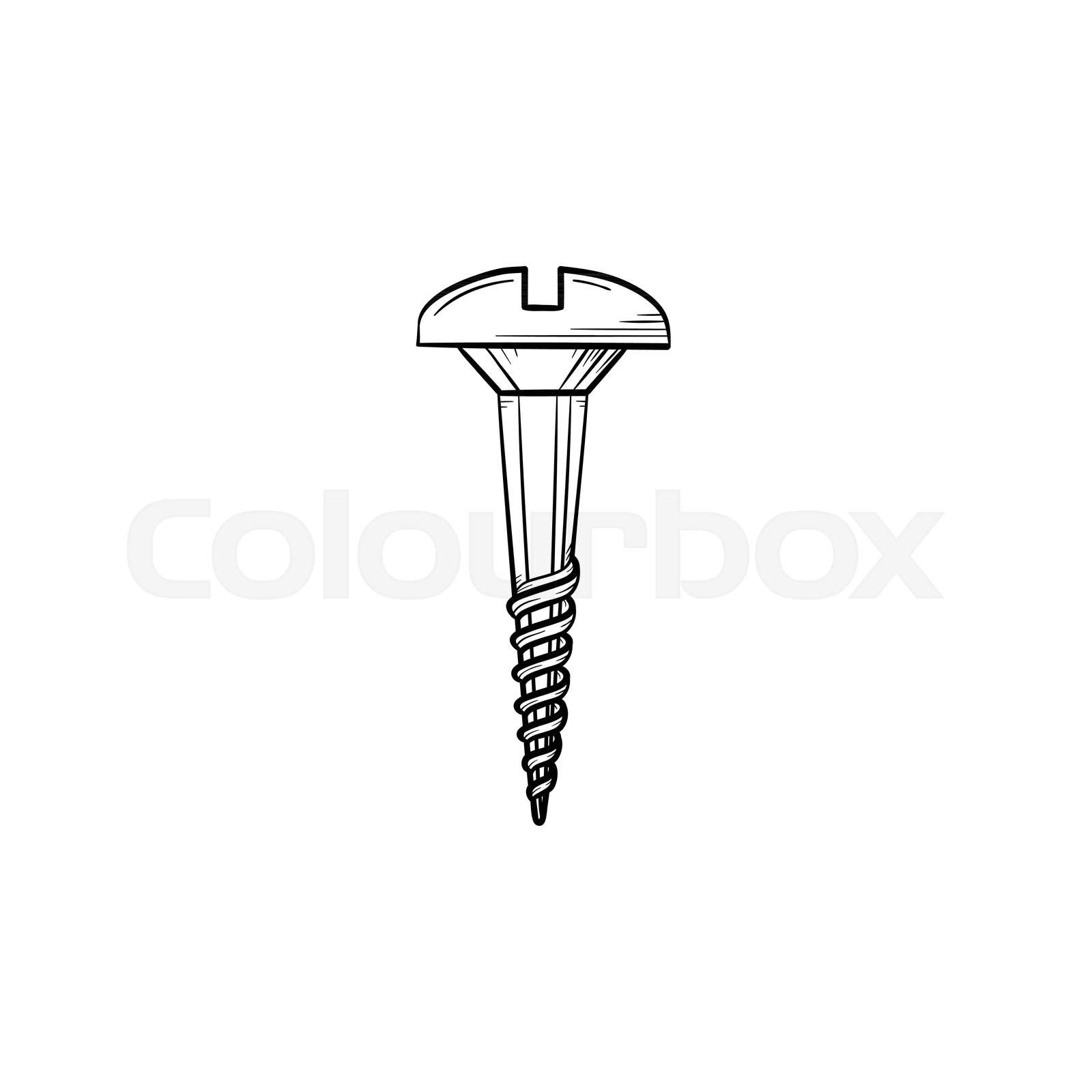 Screw hand drawn sketch icon. | Stock vector | Colourbox