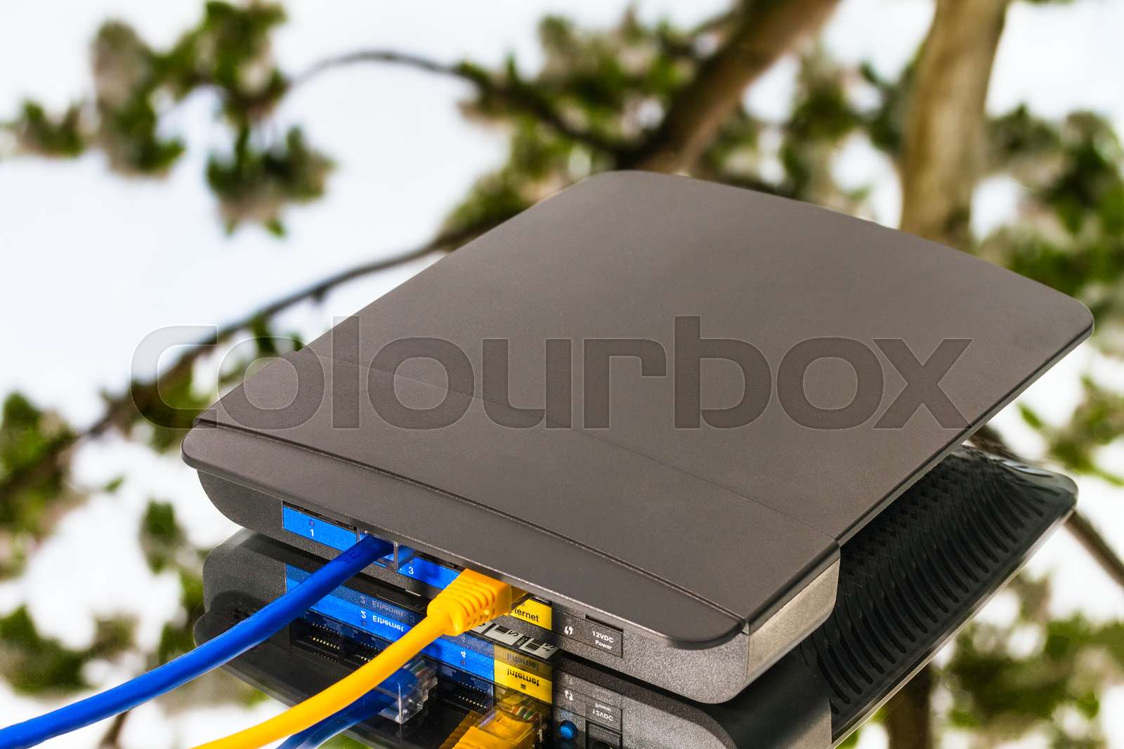 wireless router, yellow and blue ethernet cables | Stock image | Colourbox