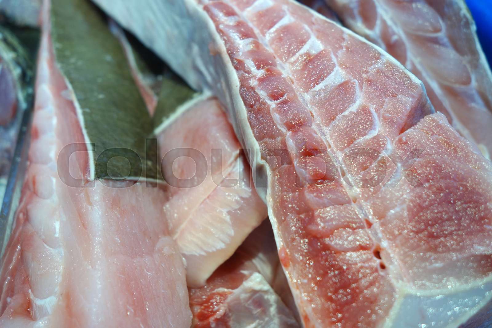 Raw stingray meat | Stock image | Colourbox