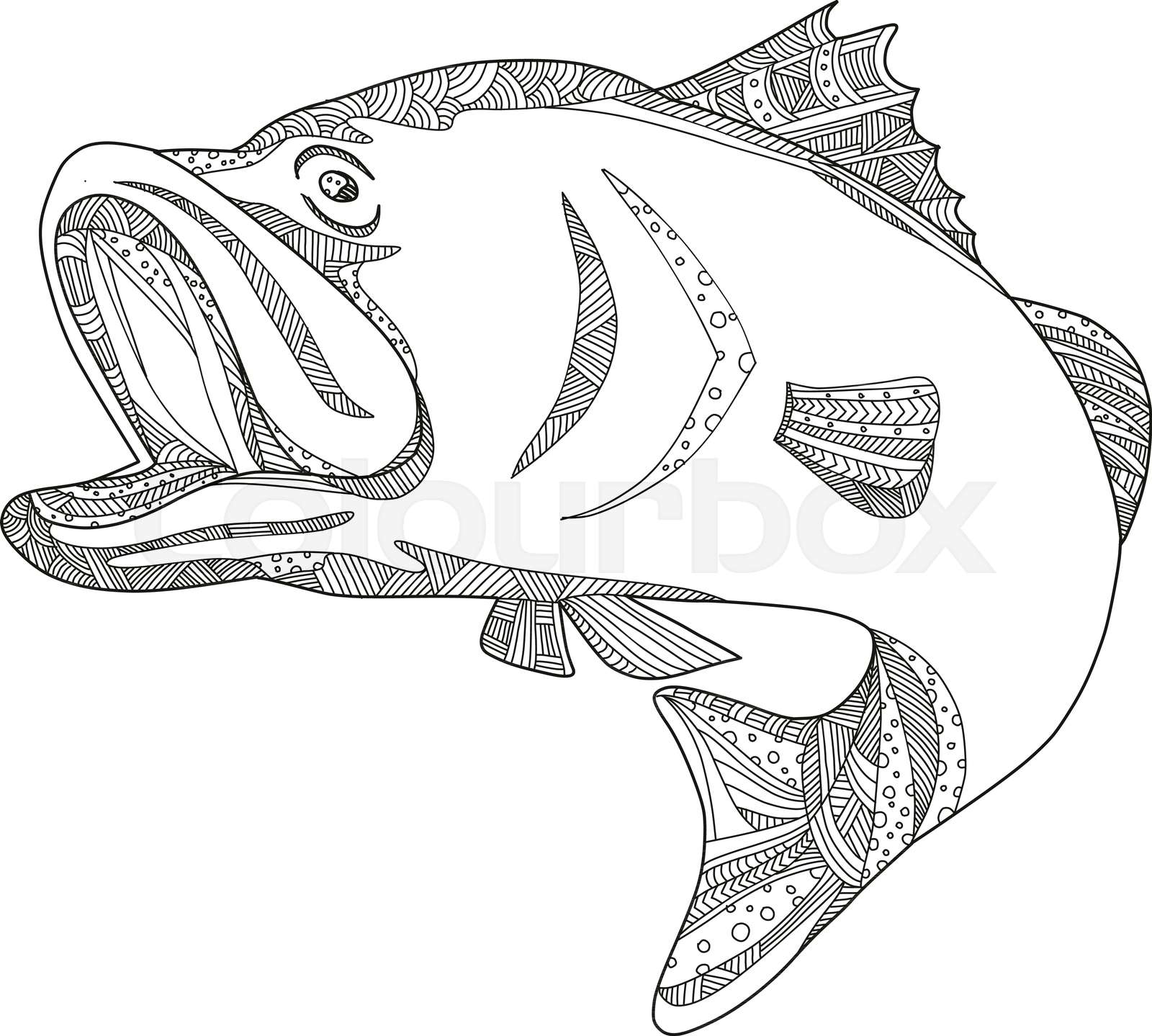 Barramundi Jumping Doodle Art | Stock vector | Colourbox