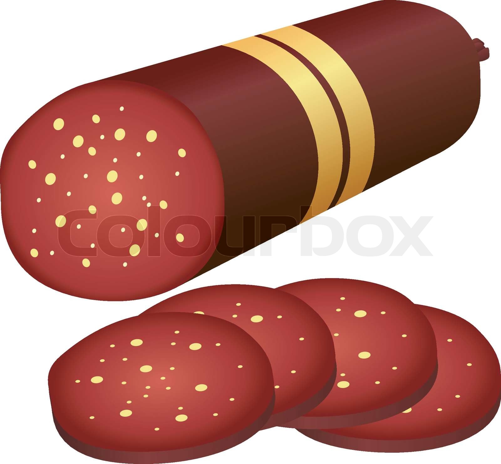 Salami. vector | Stock vector | Colourbox