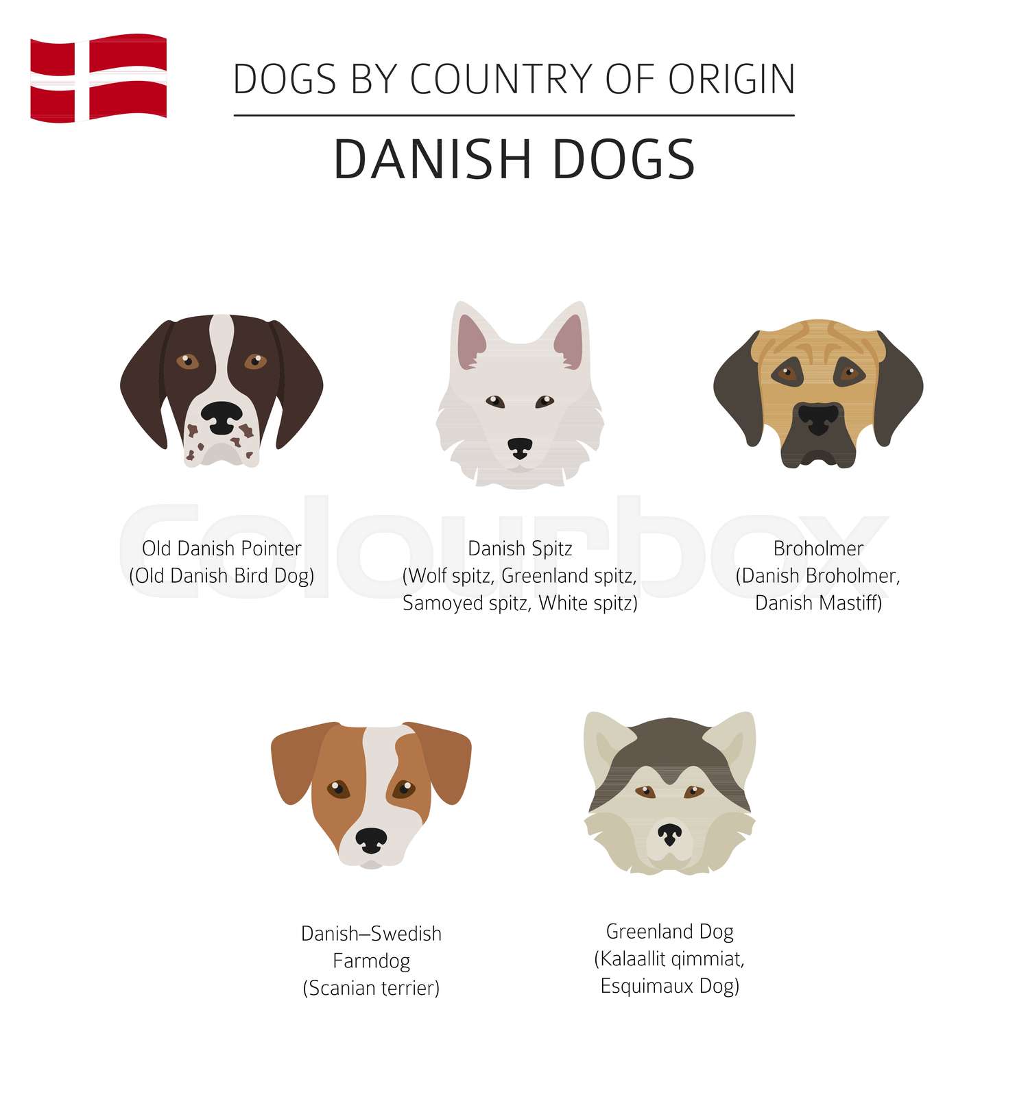 Dogs by country of origin. Danish dog breeds. Infographic template ...