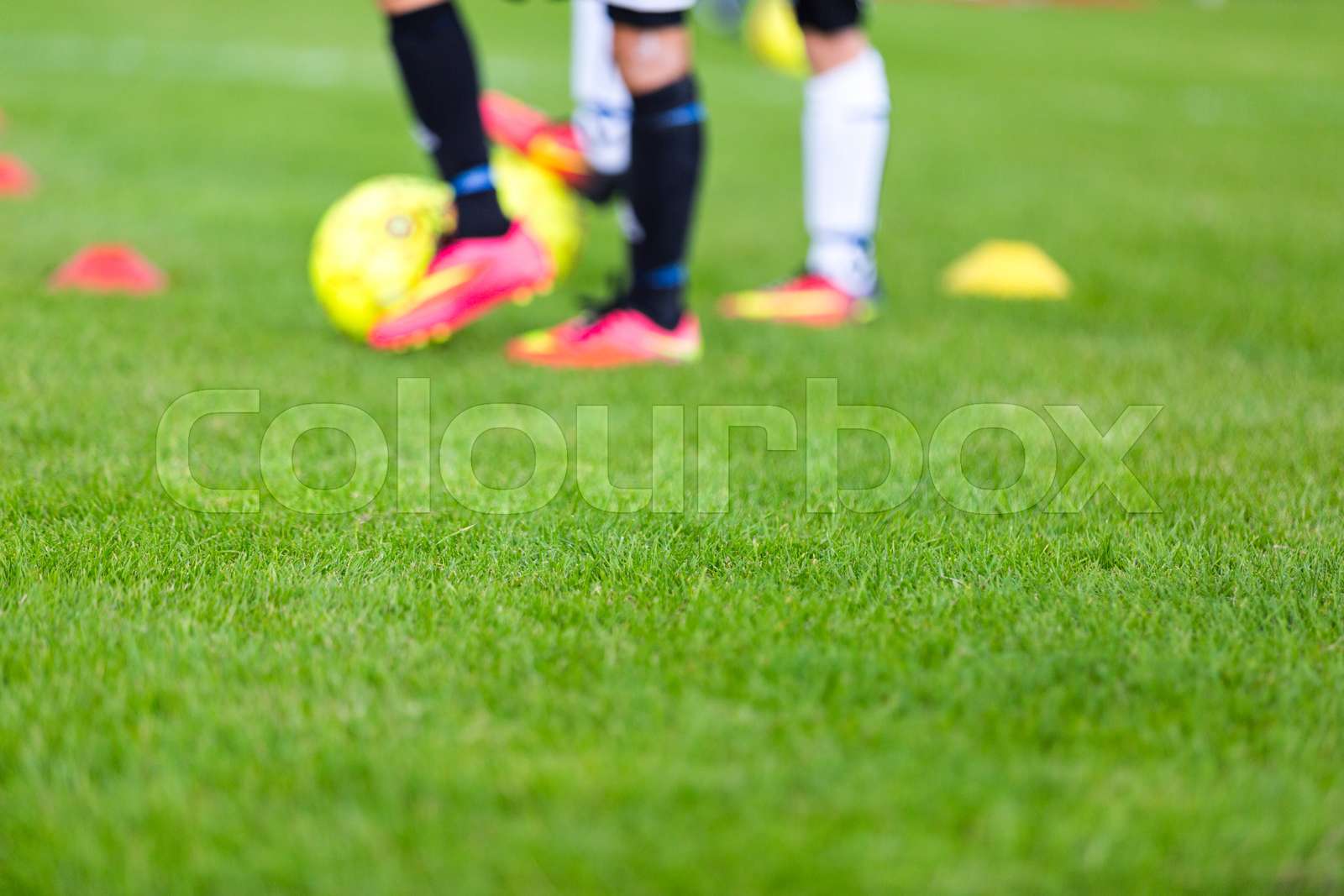 Soccer training session | Stock image | Colourbox
