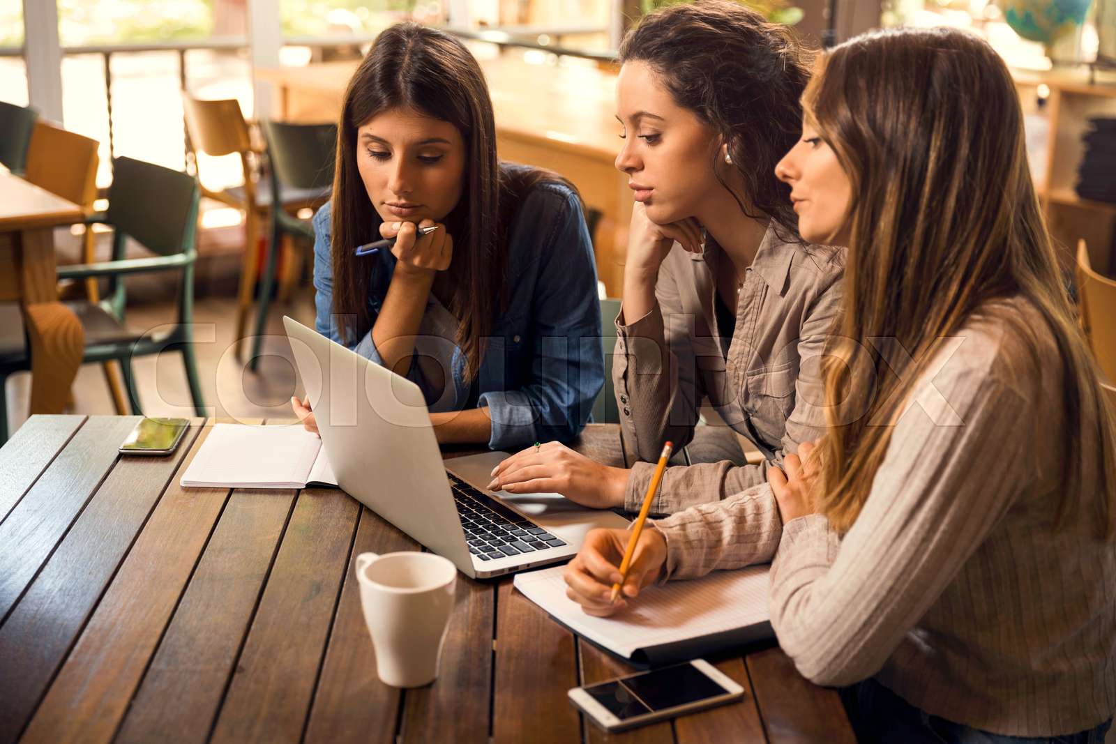 Female friends studying together | Stock image | Colourbox