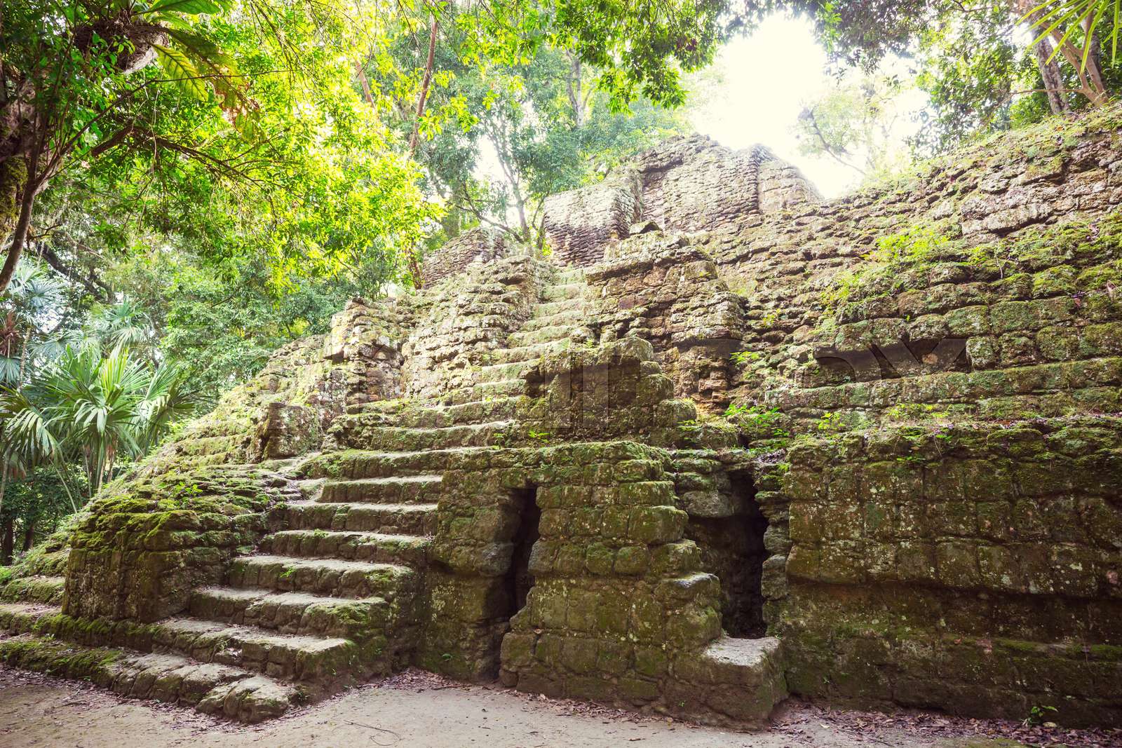 Tikal | Stock image | Colourbox