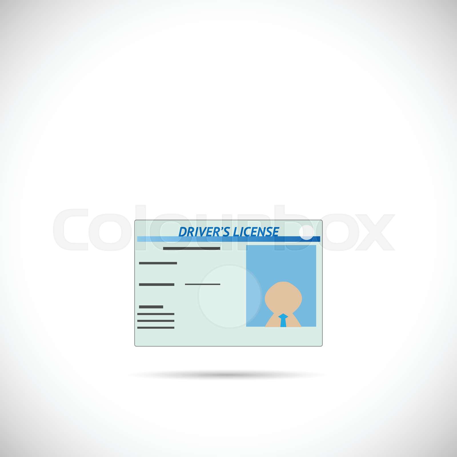Driver's License Illustration | Stock vector | Colourbox