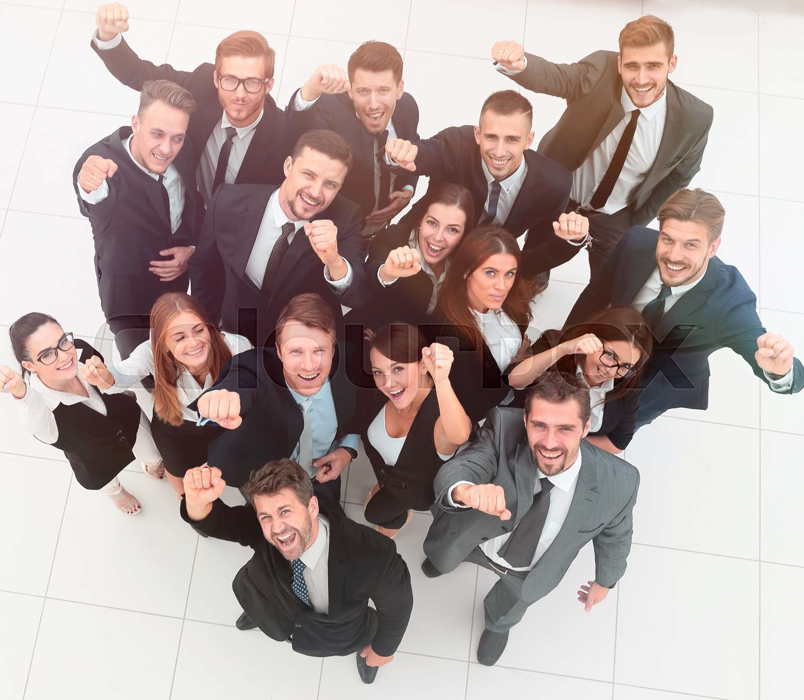 professional business team shows its success | Stock image | Colourbox