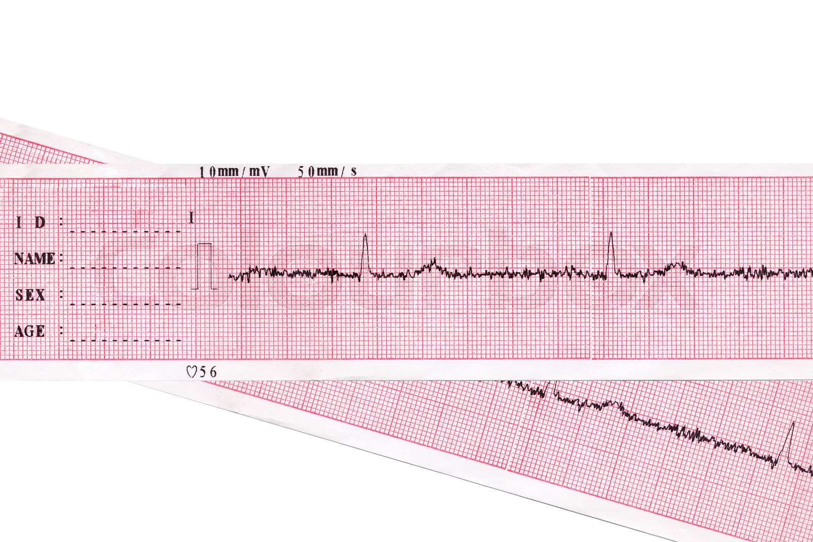 Heart. Cardiogram | Stock image | Colourbox