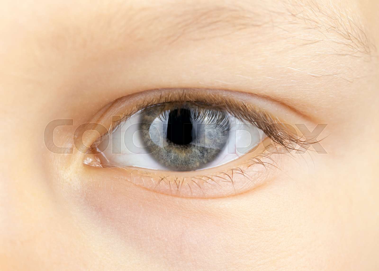 eye of young child | Stock image | Colourbox