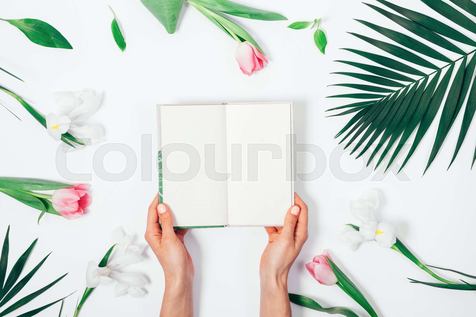 Flower arrangement and an open book | Stock image | Colourbox