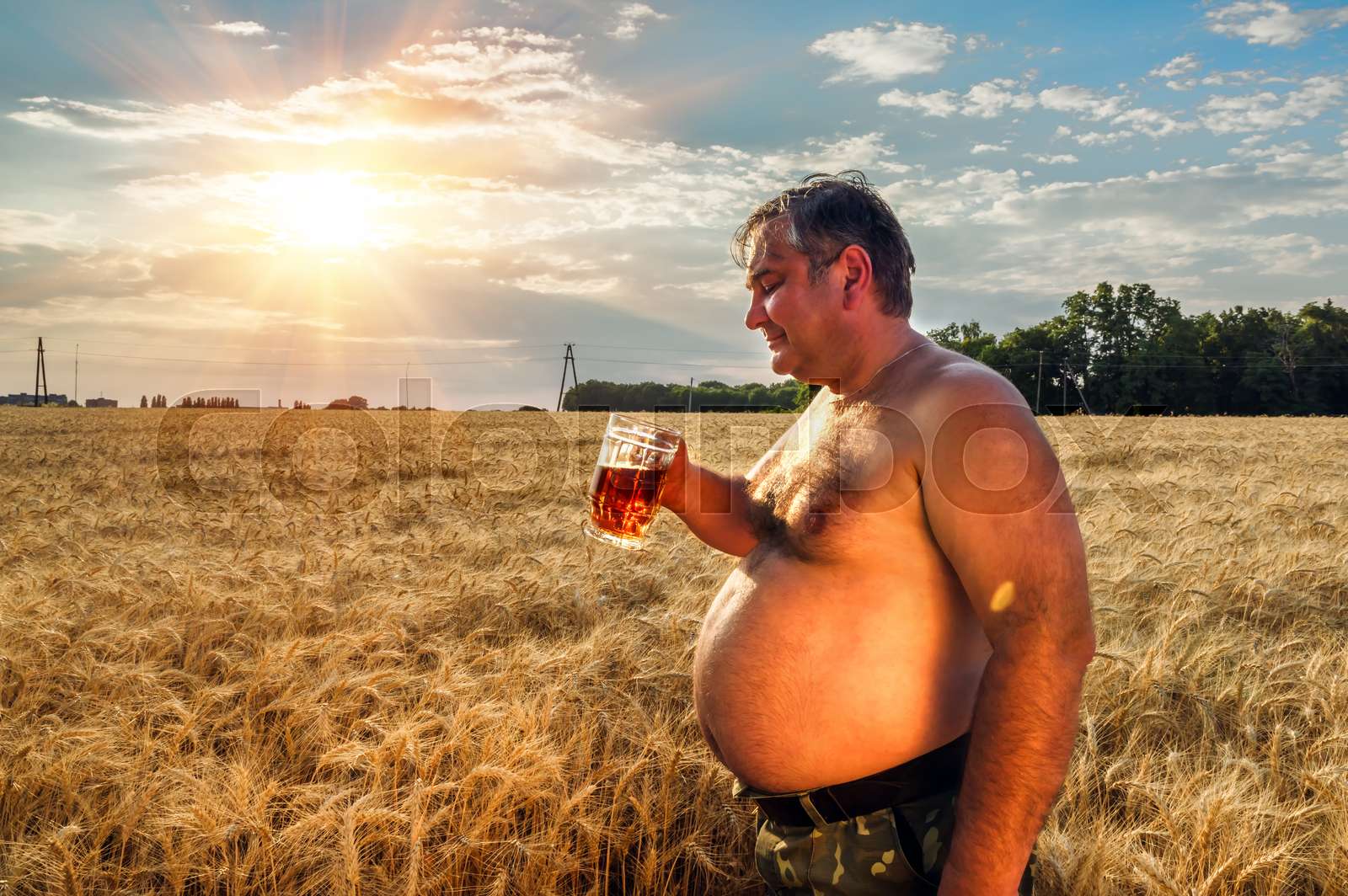 A fat man drinking beer in the field of barley | Stock image | Colourbox