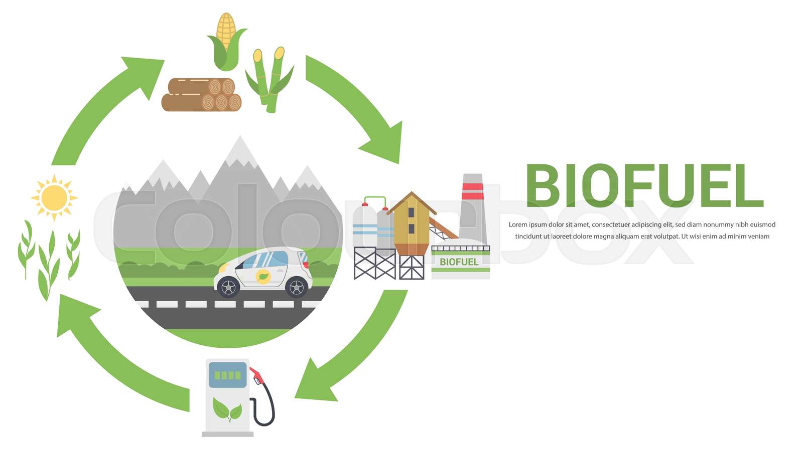 Biofuel life cycle | Stock vector | Colourbox