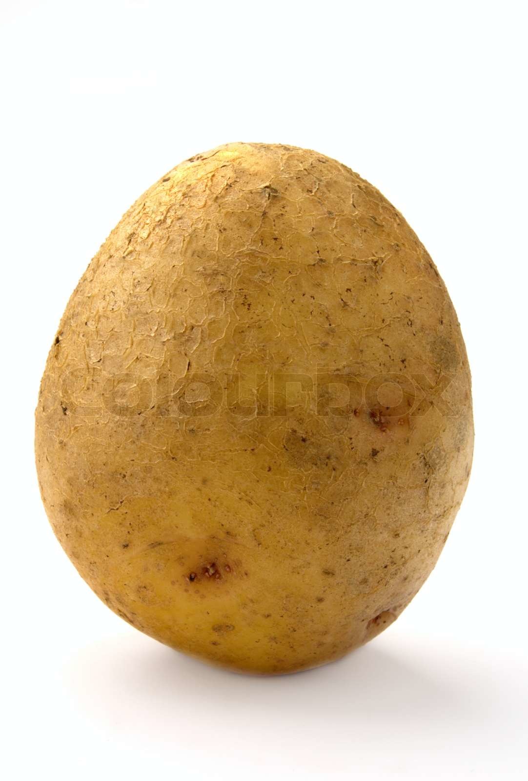 One potato | Stock image | Colourbox