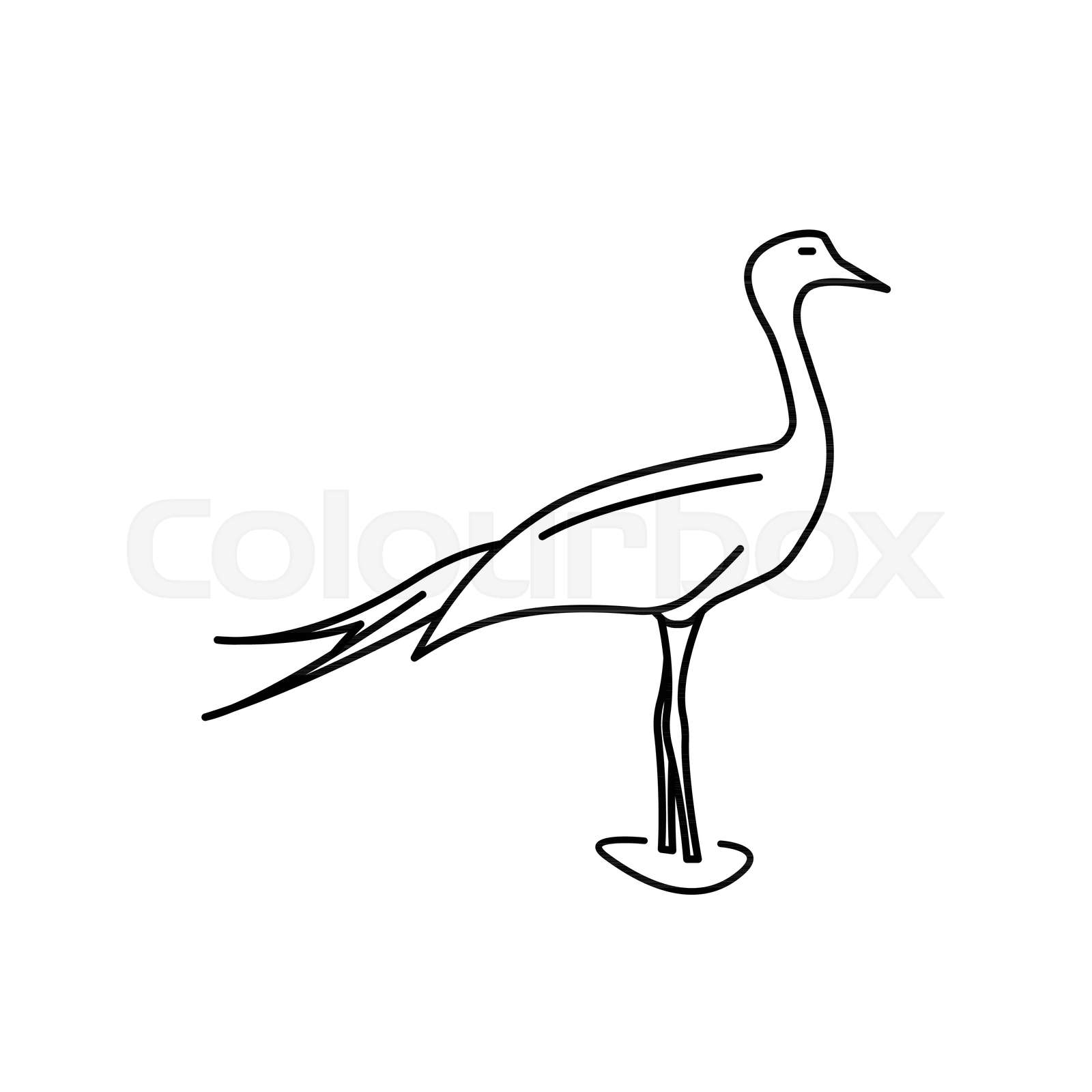 African bird icon, outline style | Stock vector | Colourbox