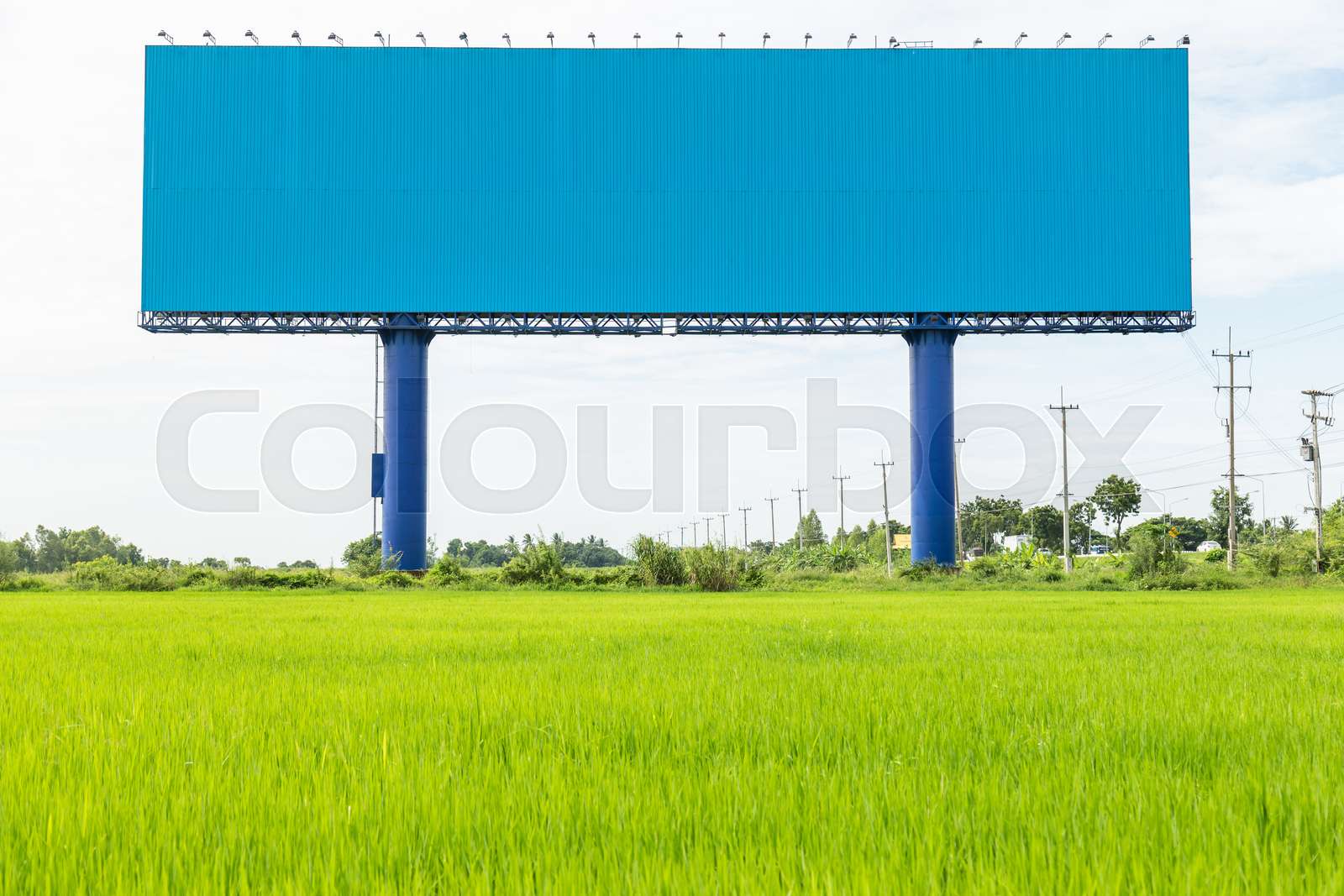 Large blue advertising billboard in green rice field. for design and ...
