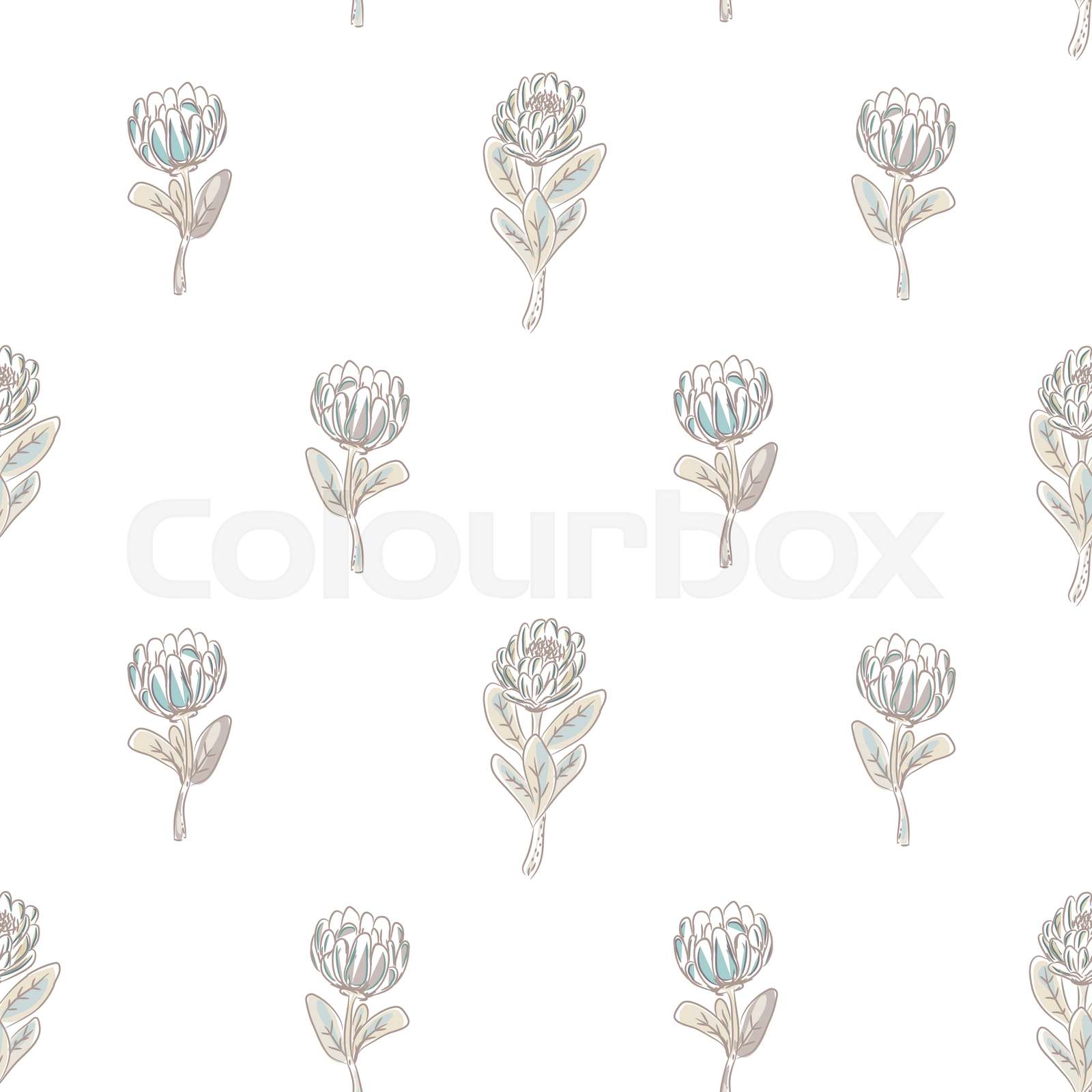 Protea flower seamless vector pattern. | Stock vector | Colourbox