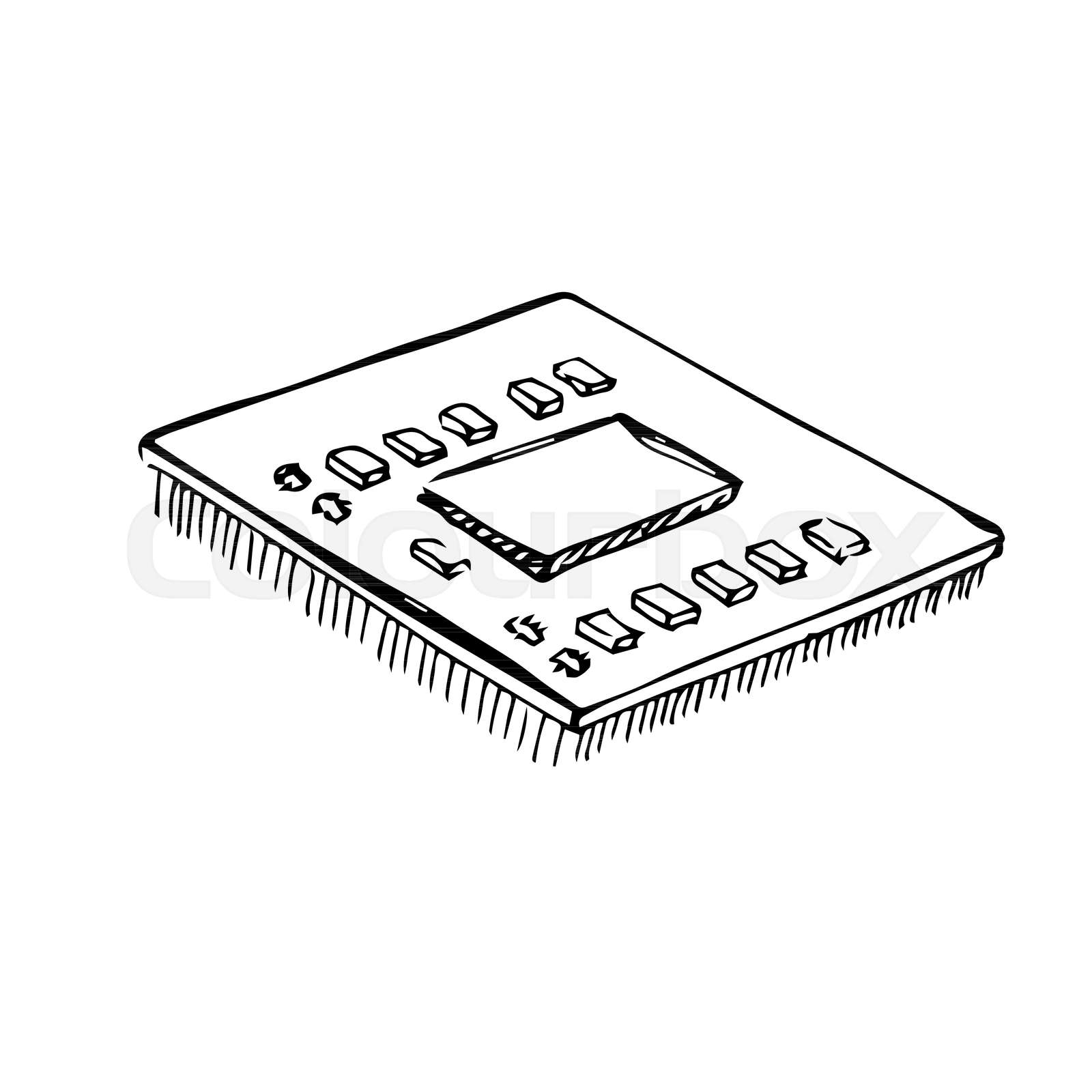 Microprocessor, cpu, processor isolated on white background. Vector ...