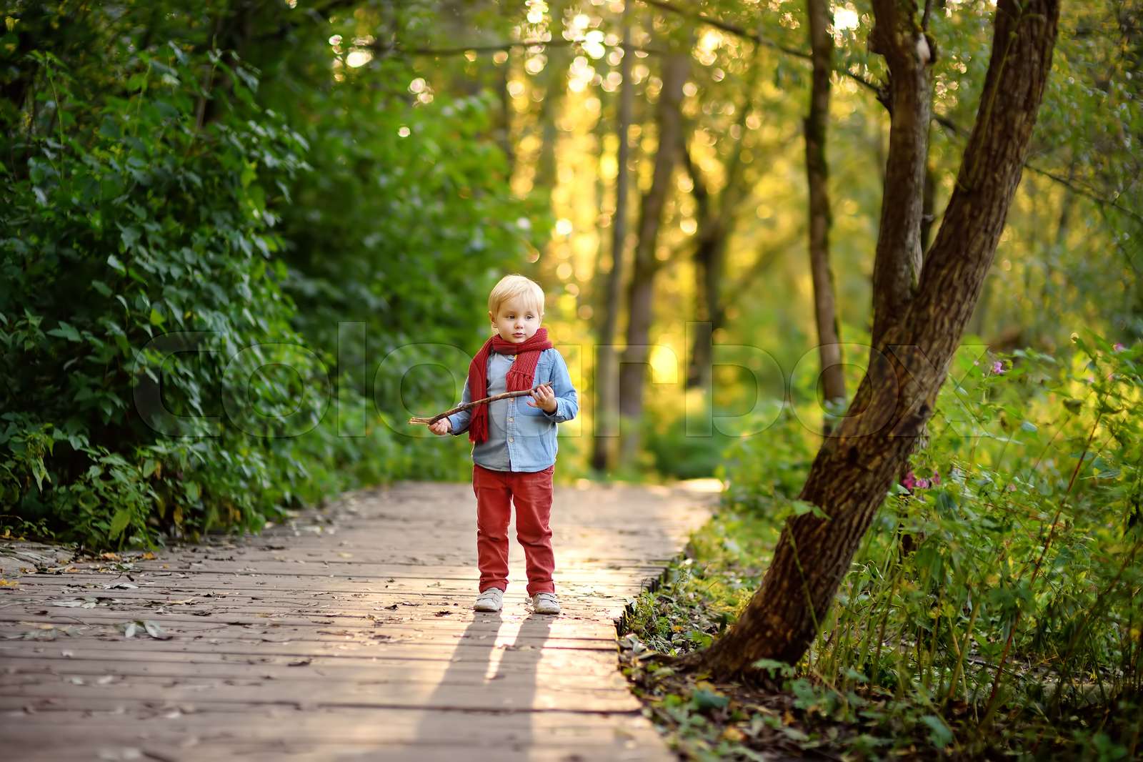 Little boy playing during stroll in the forest | Stock image | Colourbox