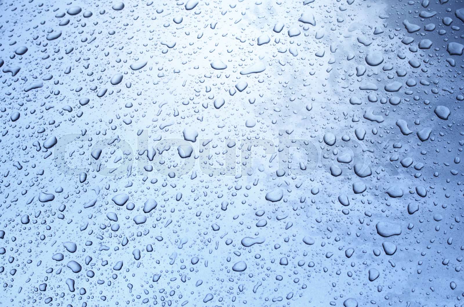 Water drops texture. | Stock image | Colourbox