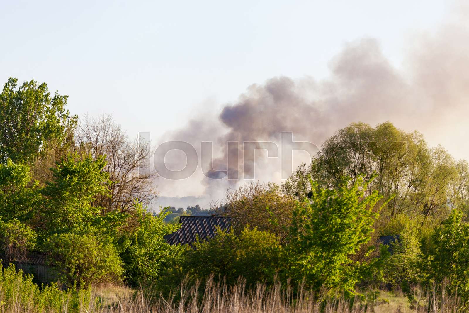 Forest fire view from afar | Stock image | Colourbox