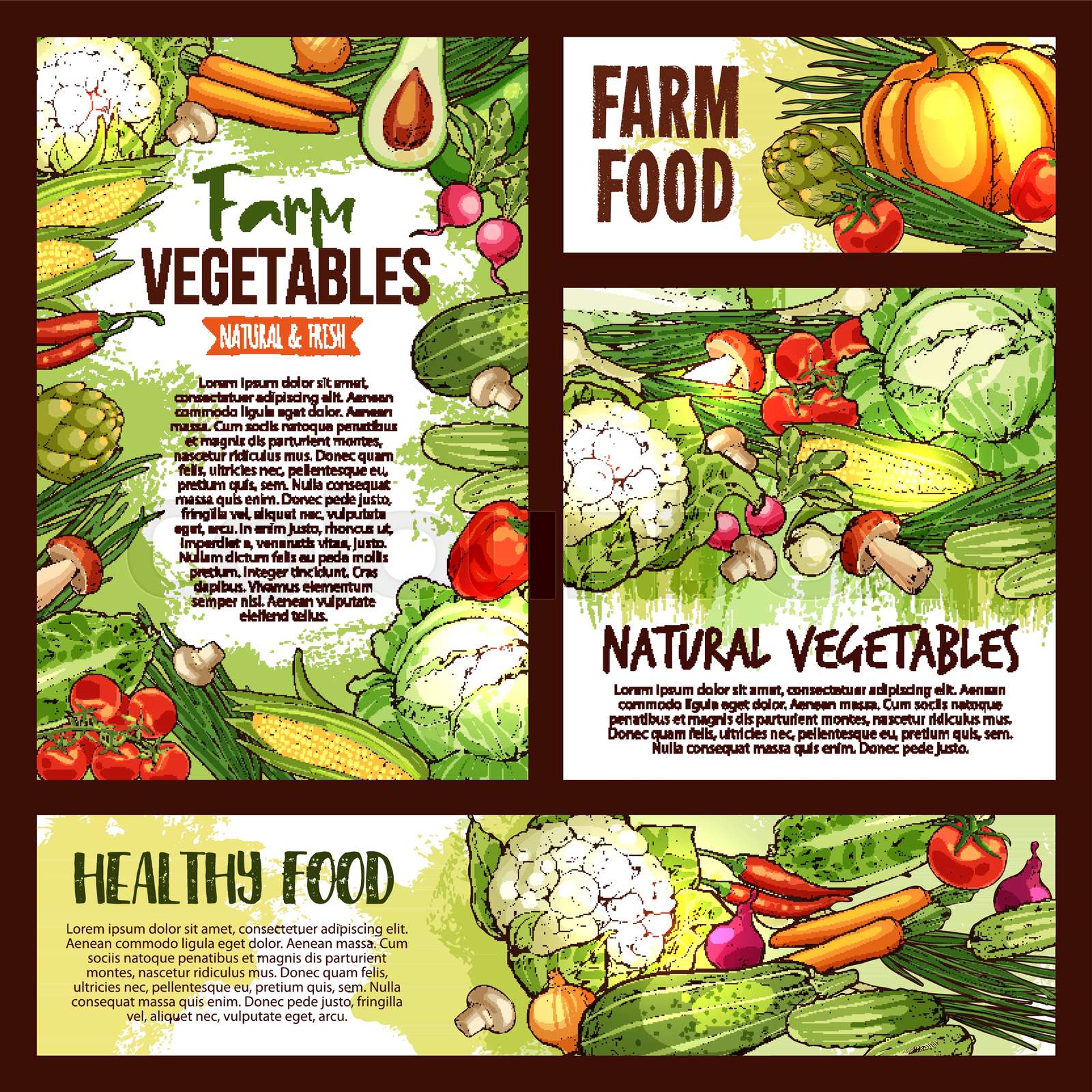 Vector natural vegetables food sketch posters | Stock vector | Colourbox