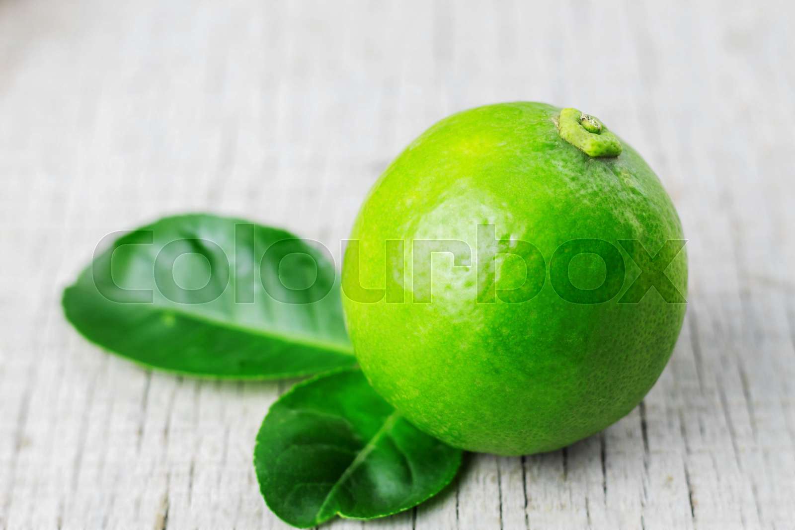 landwirtschaft, scheiben, limette | Stock Bild | Colourbox