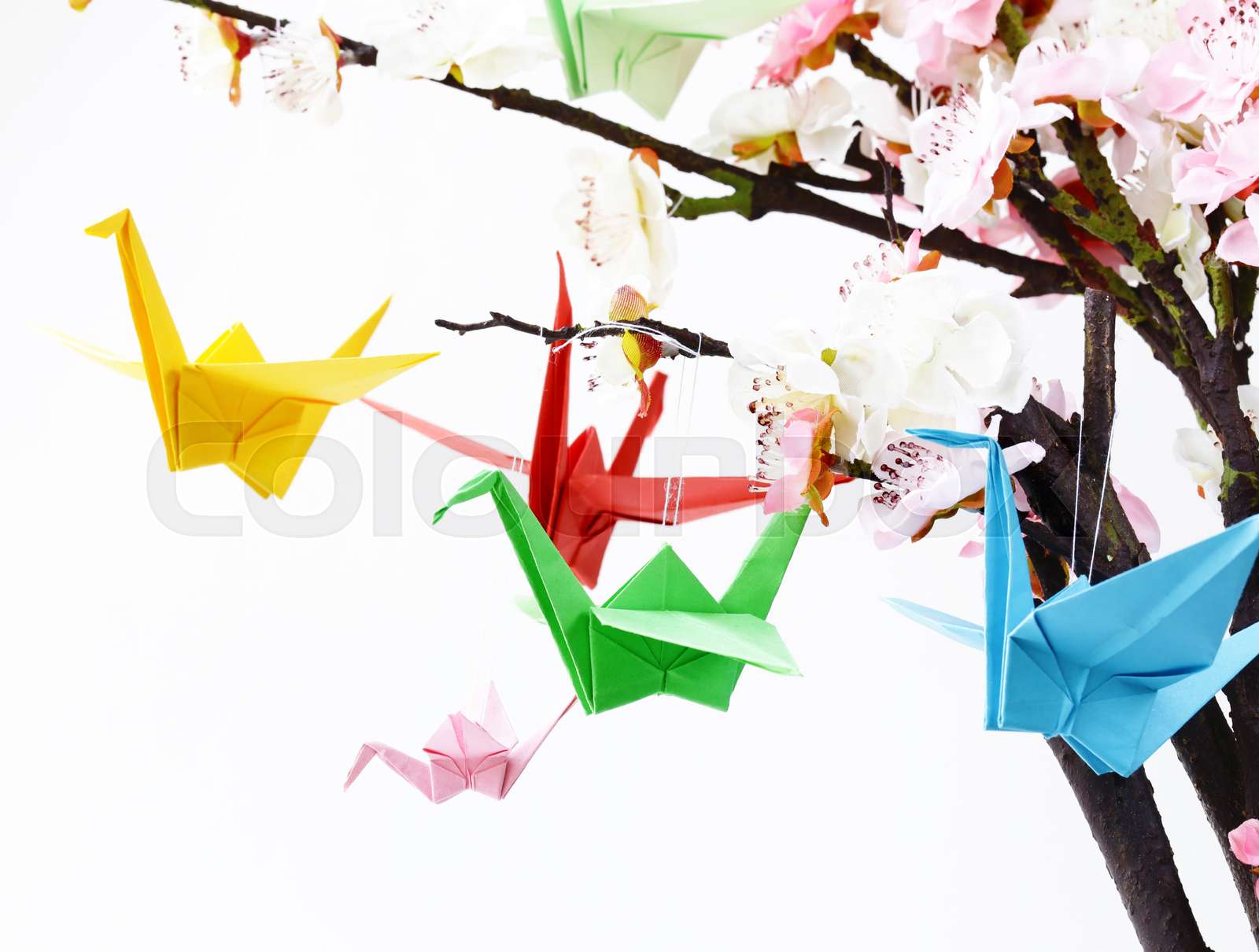 origami paper cranes a symbol on the branches of cherry blossoms ...