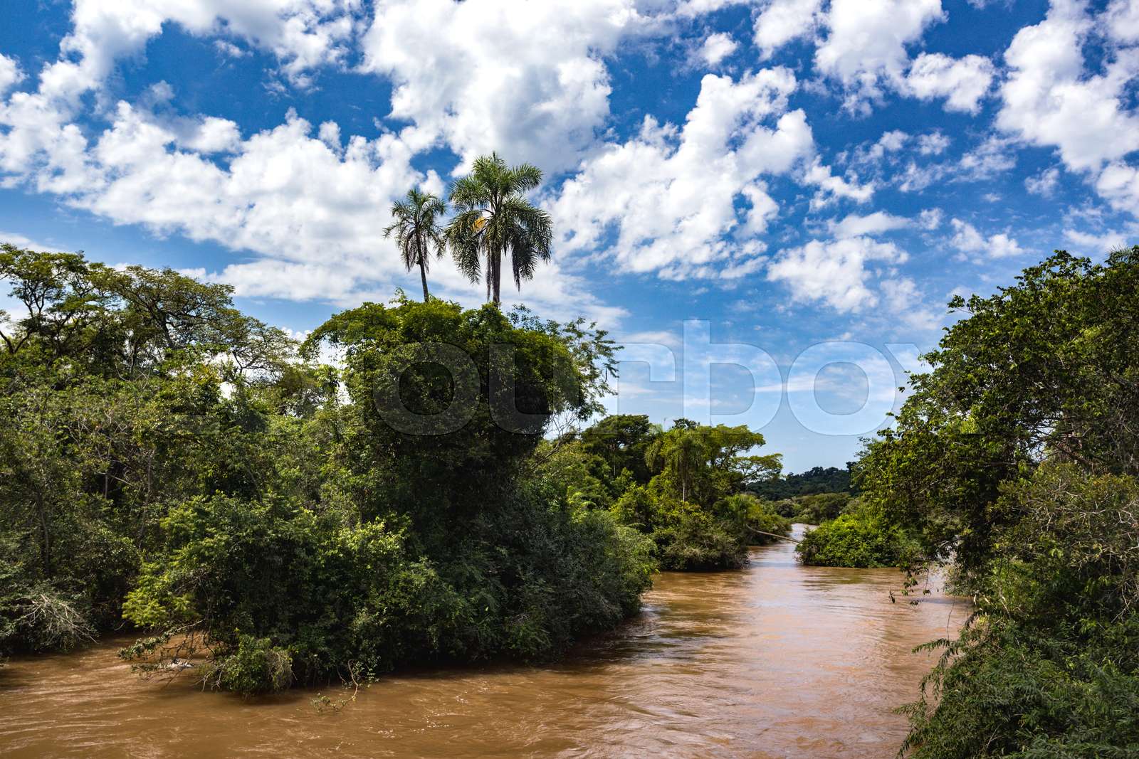 Brazilian tropical landscape | Stock image | Colourbox