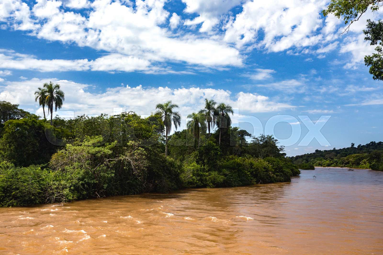 Brazilian tropical landscape | Stock image | Colourbox