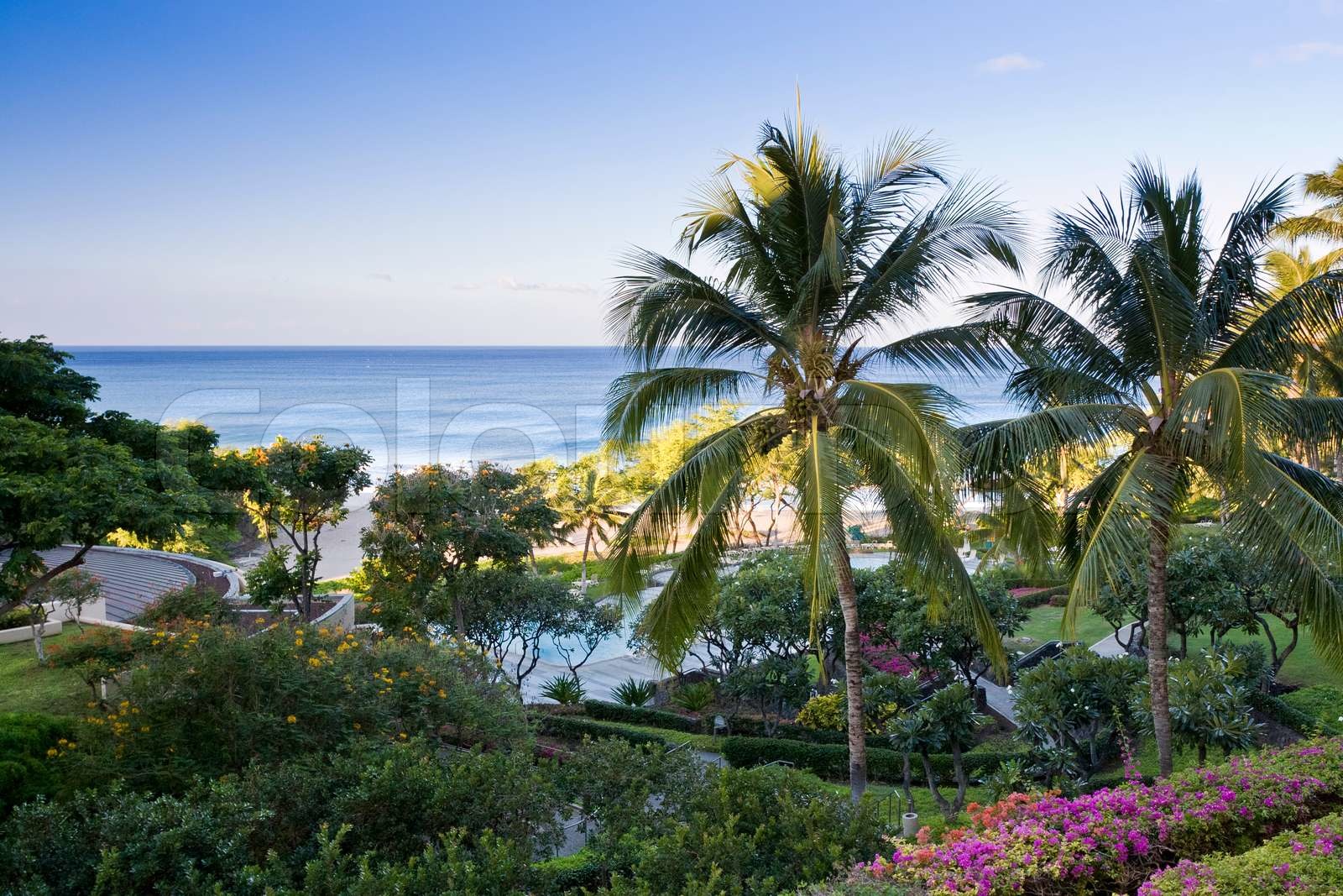 Tropisk resort med havudsigt og frodig have | Stock foto | Colourbox