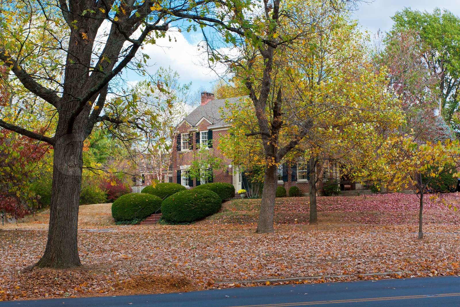 Autumn foliage at the ground on a street of typical American suburb ...