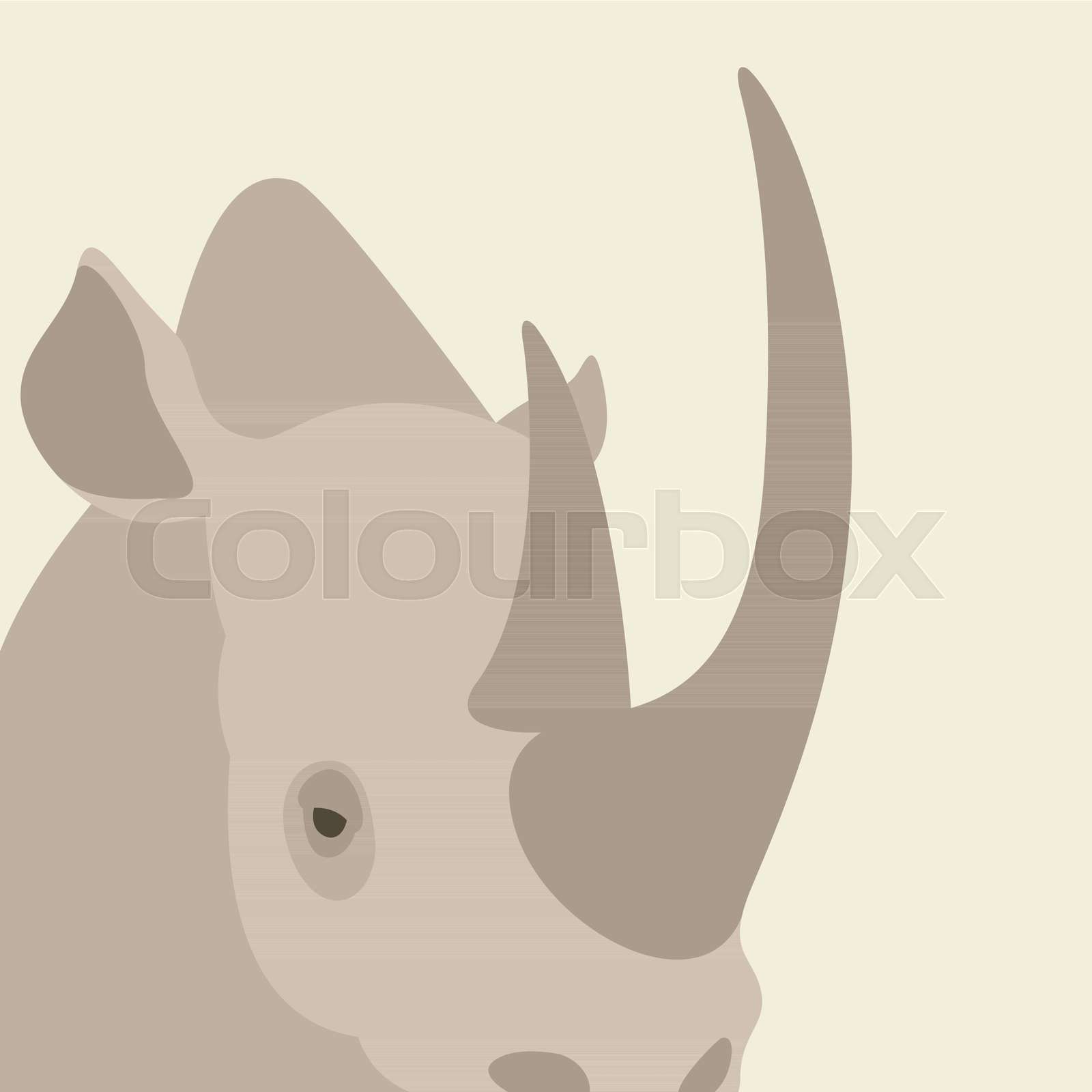 rhino head face | Stock vector | Colourbox