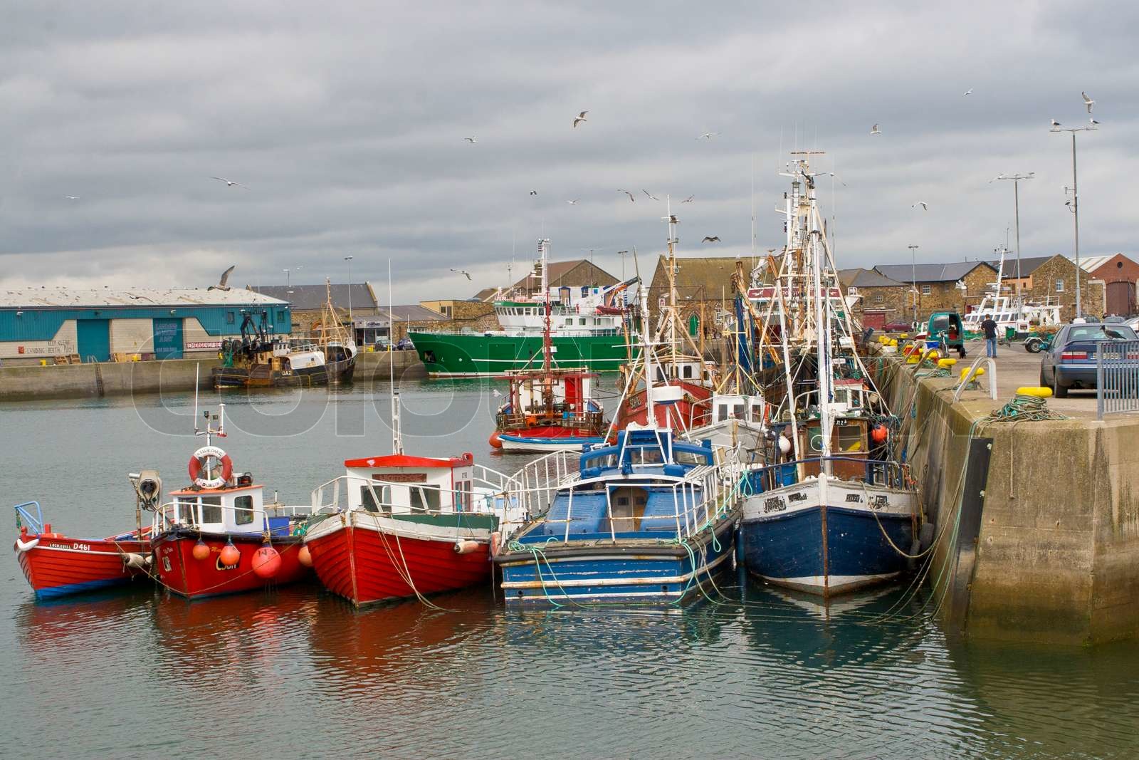 Fishing boats docked in the Howth harbor, Ireland | Stock image | Colourbox