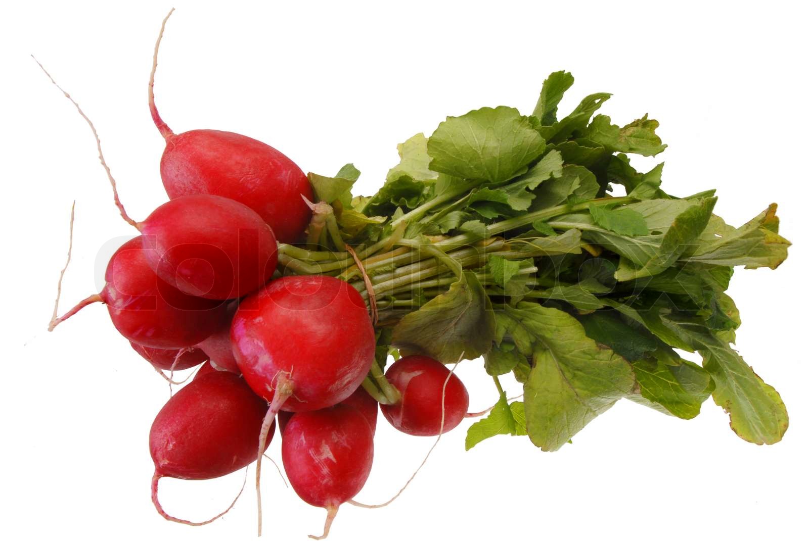 Radish | Stock image | Colourbox