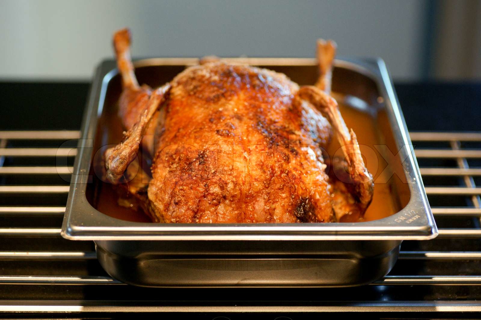 Juleand i et fad | Stock foto | Colourbox