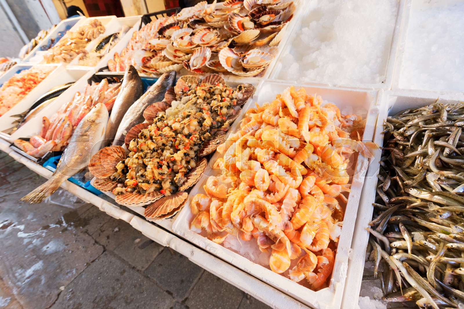 Venetian fish market | Stock image | Colourbox