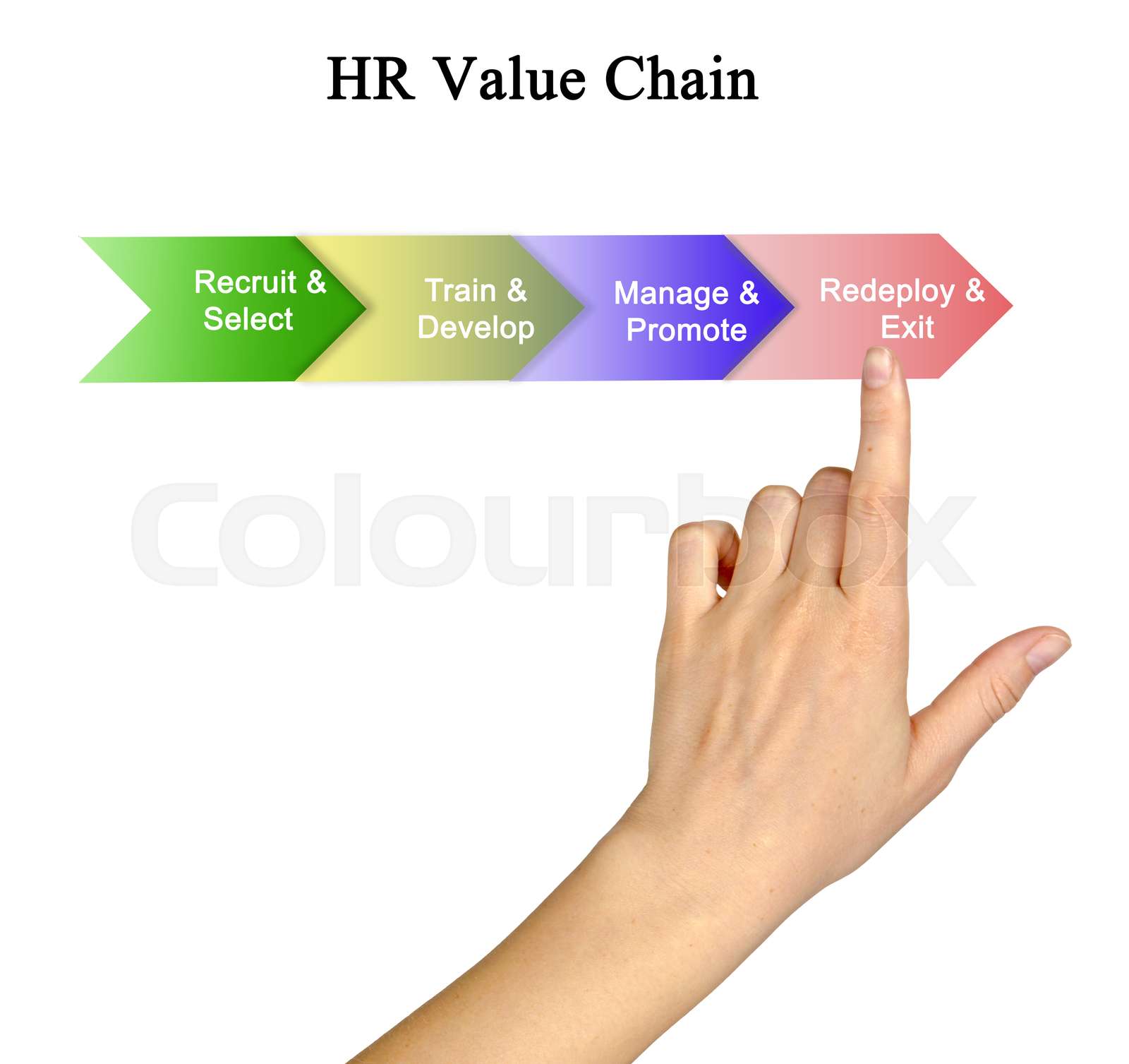 HR Value Chain | Stock image | Colourbox