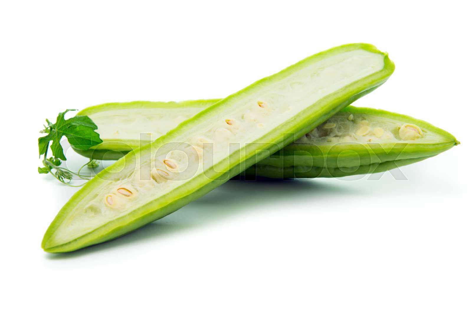 Green bitter gourd isolated on white | Stock image | Colourbox