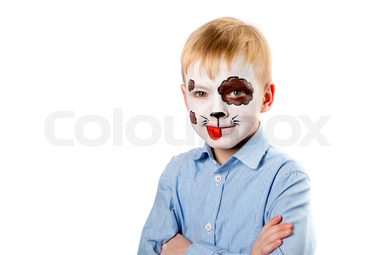 Boy with face painting as a dog | Stock image | Colourbox